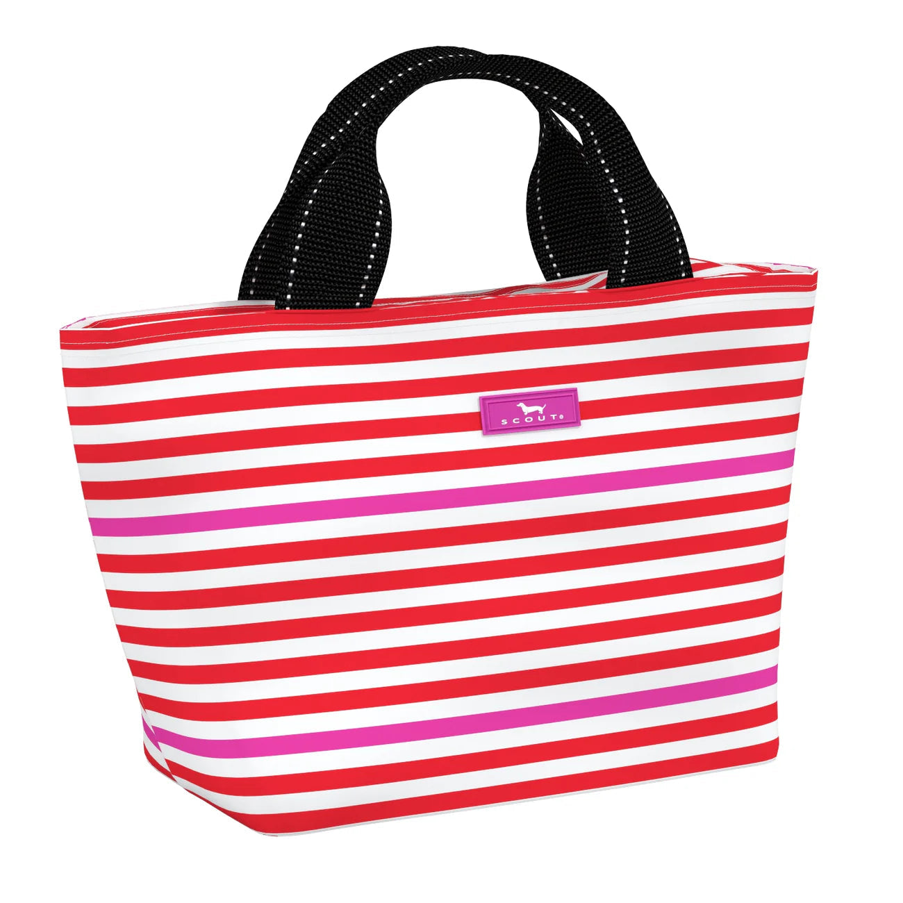 Nooner Lunch Box – The Horseshoe Crab