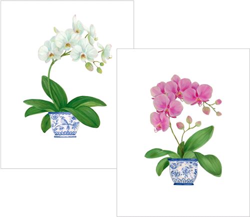 Potted Orchids Note Cards — The Horseshoe Crab